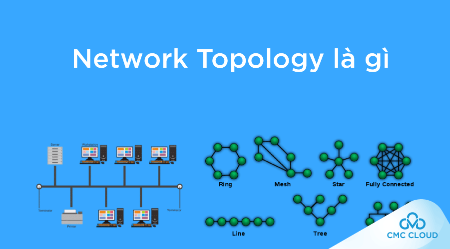 Topology là gì? 06 cấu trúc mạng Network Topology